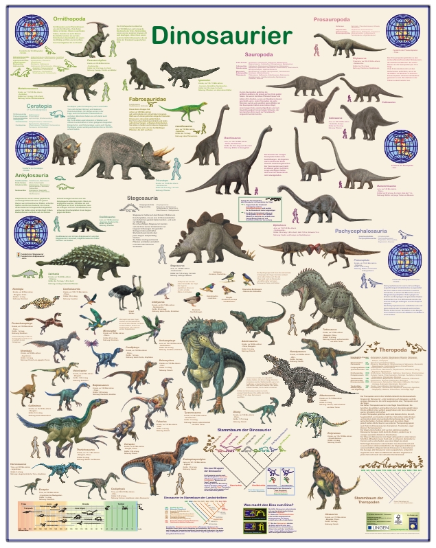 Liste Der Dinosauriernamen Und Bilder Dinosaurier Enzyklop die Liste Der Dinosauriernamen Und Bilder Dinosaurier Enzyklop die